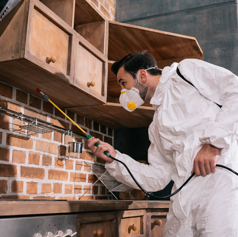 Pest Control Services